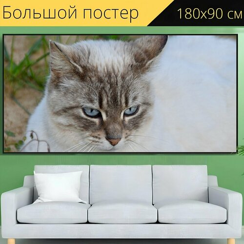 Большой постер "Кошка, кот, аллея кошка" 180 x 90 см. для интерьера