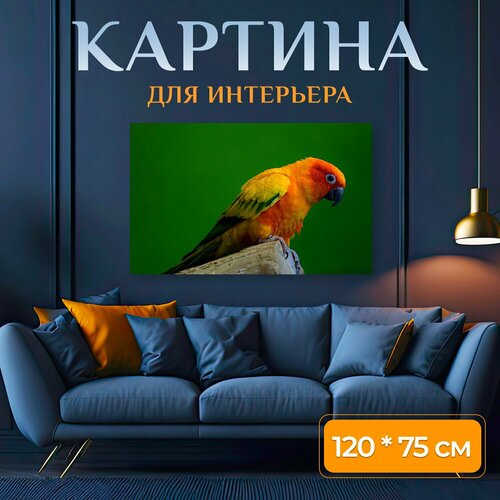 Картина на холсте "Природа, дикая природа, попугай" на подрамнике 120х75 см. для интерьера