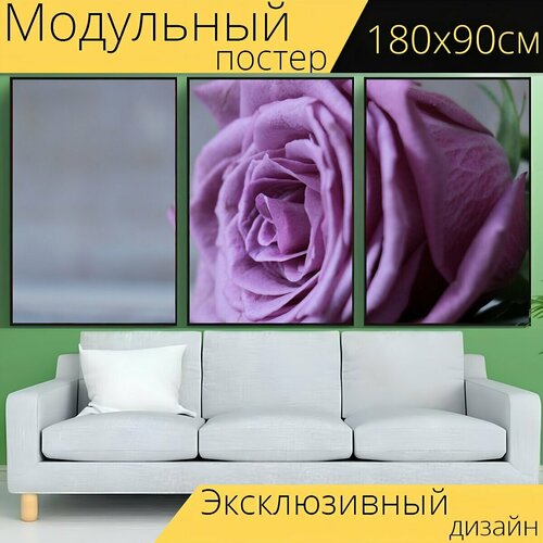 Модульный постер "Роза, флорибунда, цветение розы" 180 x 90 см. для интерьера