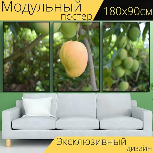 Модульный постер "Манго, фрукты, тропический" 180 x 90 см. для интерьера