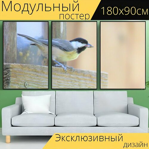 Модульный постер "Птица, крошечный, дикая природа" 180 x 90 см. для интерьера