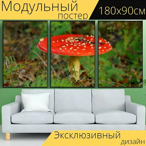 Модульный постер "Гриб, закрывать, лес" 180 x 90 см. для интерьера
