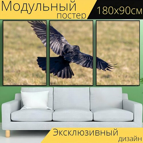 Модульный постер "Ворона, летят вороны, черная птица" 180 x 90 см. для интерьера