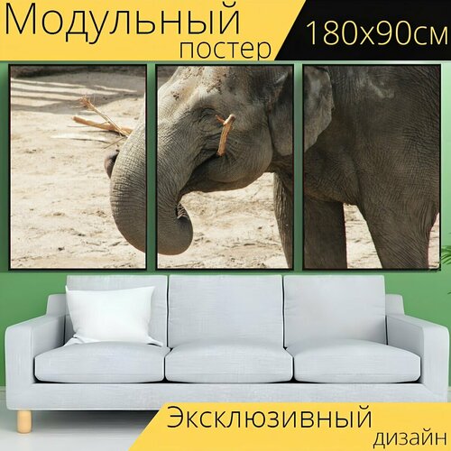 Модульный постер "Слон, счастливый, саванновый африканский слон" 180 x 90 см. для интерьера