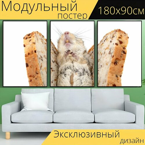 Модульный постер "Животное, хлеб, браун" 180 x 90 см. для интерьера