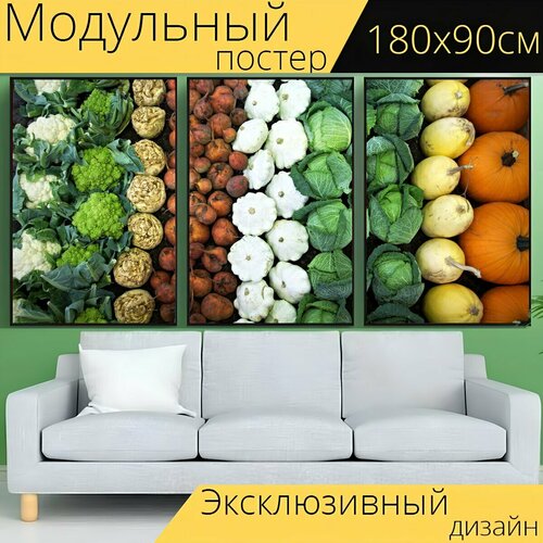 Модульный постер "Овощи, цветная капуста, капуста" 180 x 90 см. для интерьера
