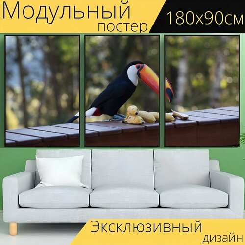 Модульный постер "Тукан, птица, тропический" 180 x 90 см. для интерьера