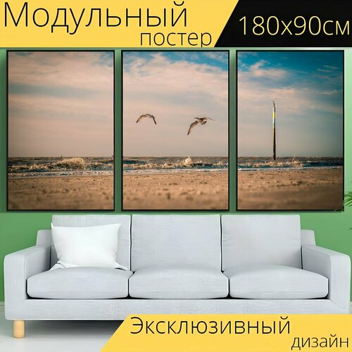 Модульный постер "Чайка, пляж, северное море" 180 x 90 см. для интерьера