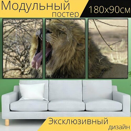 Модульный постер "Лев, африка, дикая природа" 180 x 90 см. для интерьера