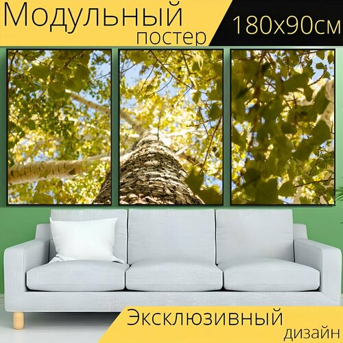 Модульный постер "Дерево, солнечный свет, пейзаж" 180 x 90 см. для интерьера