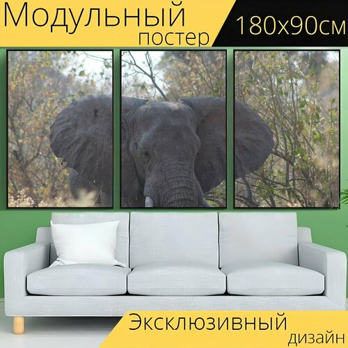 Модульный постер "Слон, животное, сафари" 180 x 90 см. для интерьера