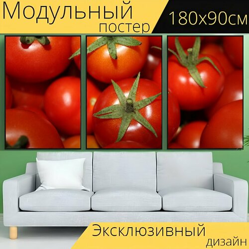 Модульный постер "Помидоры, красный, овощи" 180 x 90 см. для интерьера