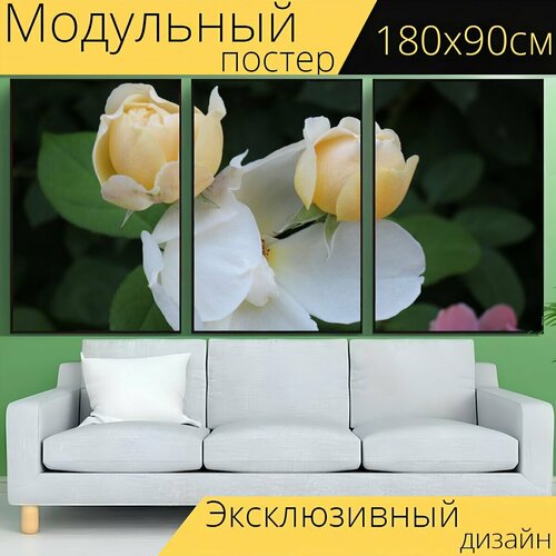 Модульный постер "Весна, цветы, роза" 180 x 90 см. для интерьера