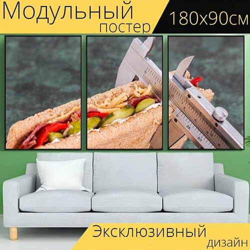 Модульный постер "Рацион питания, верньер, бутерброд" 180 x 90 см. для интерьера
