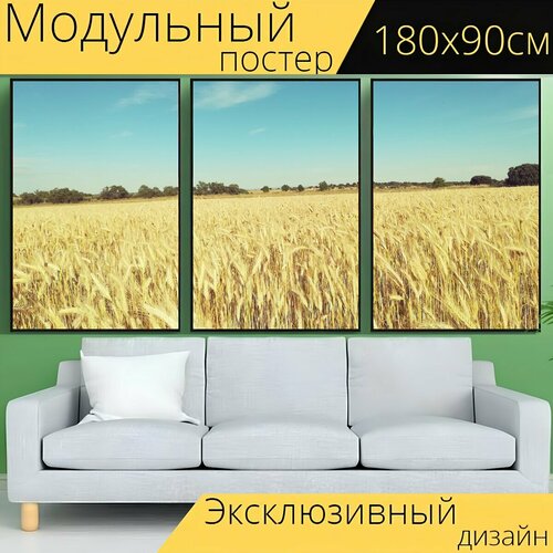 Модульный постер "Поле, пшеница, сельское хозяйство" 180 x 90 см. для интерьера