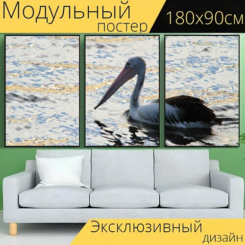 Модульный постер "Пеликан, животное, вода" 180 x 90 см. для интерьера