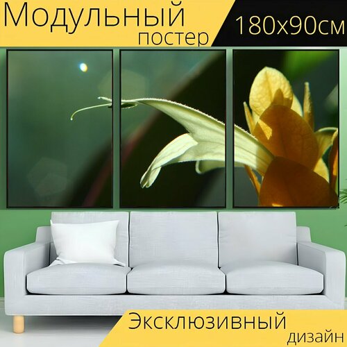 Модульный постер "Банан цветок, цветок рот, цветок" 180 x 90 см. для интерьера