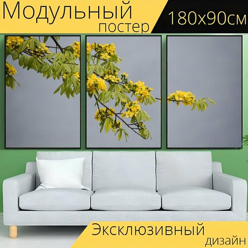 Модульный постер "Желтый цветок абрикоса, желтый цветок май, желтый цветок" 180 x 90 см. для интерьера