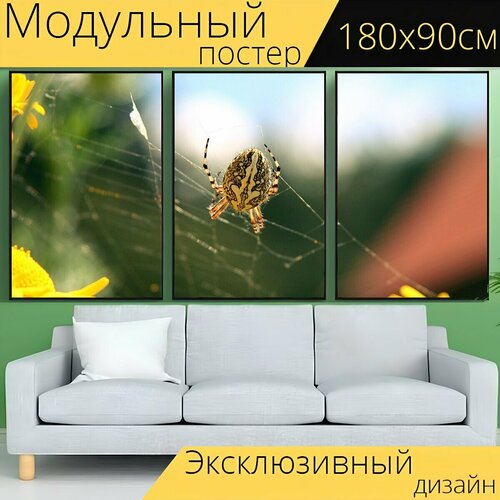Модульный постер "Жёлудь лист шар паутина паук, летом, солнце" 180 x 90 см. для интерьера