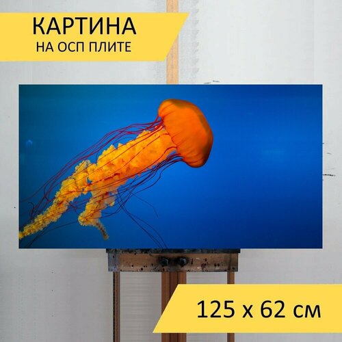 Картина на ОСП 125х62 см. "Медуза, животное, подводный" горизонтальная, для интерьера, с креплениями