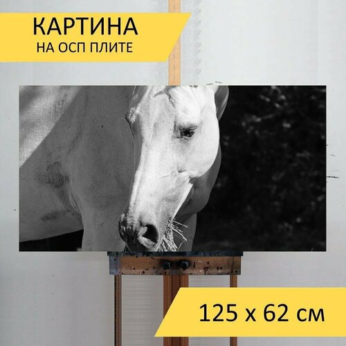 Картина на ОСП 125х62 см. "Лошадь, лошади, конный спорт" горизонтальная, для интерьера, с креплениями