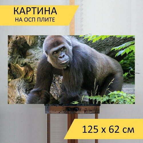 Картина на ОСП 125х62 см. "Обезьяна, примат, млекопитающее" горизонтальная, для интерьера, с креплениями