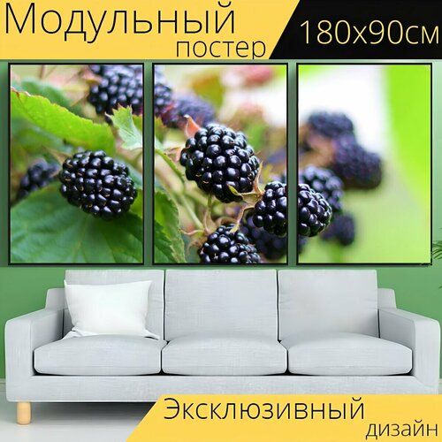 Модульный постер "Ежевика, ягода, россия" 180 x 90 см. для интерьера
