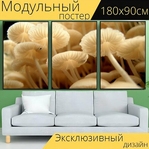 Модульный постер "Белый гриб, природа, грибок" 180 x 90 см. для интерьера