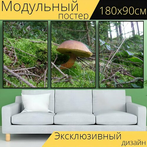 Модульный постер "Лес, гриб, грибы" 180 x 90 см. для интерьера