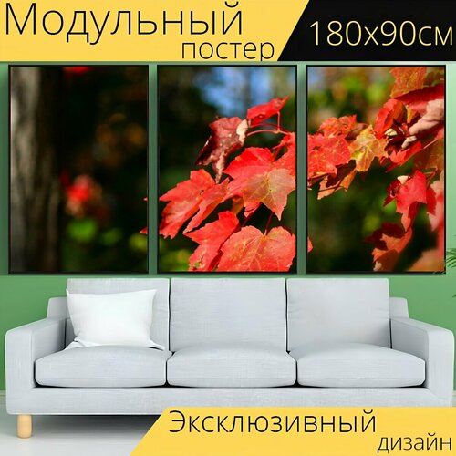 Модульный постер "Кленовые листья, падение, осень" 180 x 90 см. для интерьера