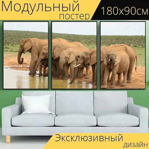 Модульный постер "Слоны, стадо слонов, стадо" 180 x 90 см. для интерьера