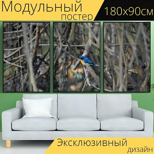 Модульный постер "Природа, птица, синий" 180 x 90 см. для интерьера