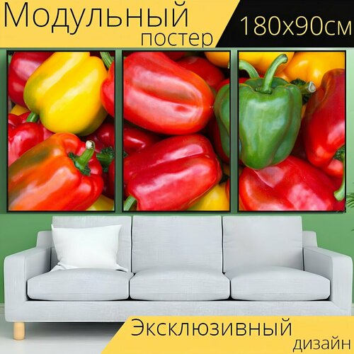 Модульный постер "Овощ, перец чили, сладкий перец" 180 x 90 см. для интерьера