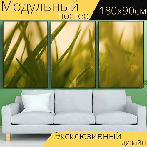 Модульный постер "Трава, теплый, выборочный фокус" 180 x 90 см. для интерьера
