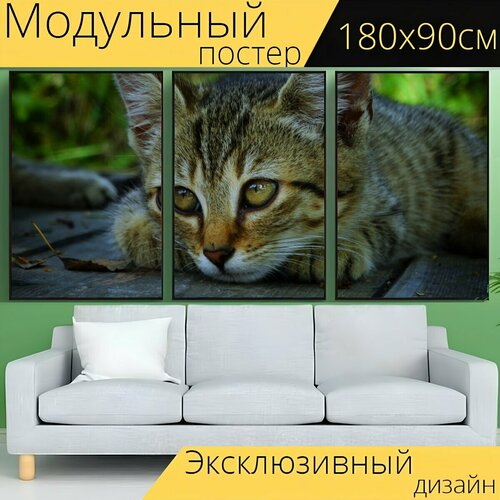 Модульный постер "Кошка, котенок, полосатый кот" 180 x 90 см. для интерьера