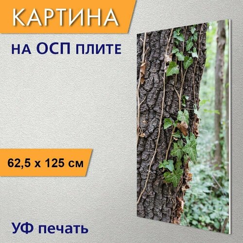 Вертикальная картина на ОСП "Вуд, лес, справочная информация" 62x125 см. для интерьериа