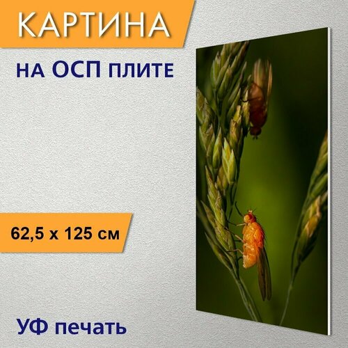 Вертикальная картина на ОСП "Плодовая муха, насекомое, завод" 62x125 см. для интерьериа