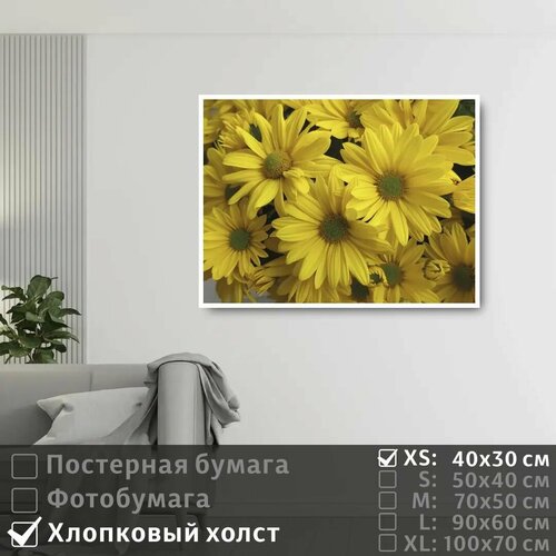 Постер на холсте Желтые Цветки Хризантемы 40х30 см ПолиЦентр