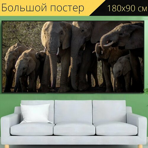 Большой постер "Слон, африка, дикая природа" 180 x 90 см. для интерьера