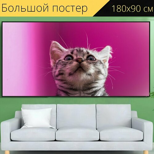 Большой постер "Котенок, кот, милый" 180 x 90 см. для интерьера