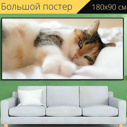 Большой постер "Кот, портрет животных, домашняя кошка" 180 x 90 см. для интерьера
