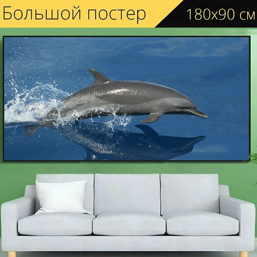 Большой постер "Дельфин, плавание, прыжки" 180 x 90 см. для интерьера