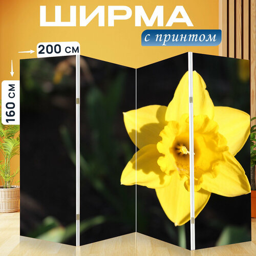 Ширма перегородка с принтом "Весна, цветок, природа" на холсте - 200x160 см. для зонирования, раскладная