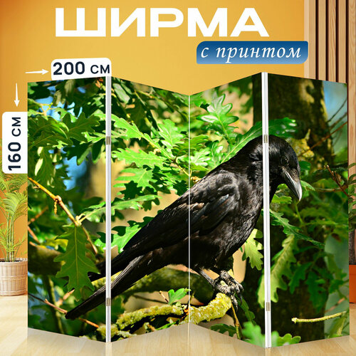 Ширма перегородка с принтом "Ворона, птица, животное" на холсте - 200x160 см. для зонирования, раскладная