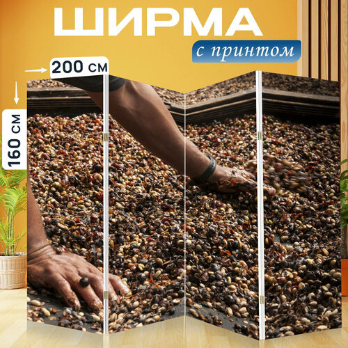 Ширма перегородка с принтом "Кофе, зерно, кофе в зернах" на холсте - 200x160 см. для зонирования, раскладная
