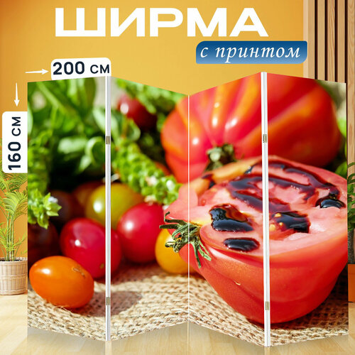 Ширма перегородка с принтом "Помидоры, красочные, витамины" на холсте - 200x160 см. для зонирования, раскладная