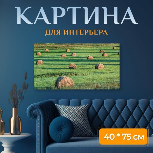 Картина на холсте "Тюков, корма, сено" на подрамнике 75х40 см. для интерьера