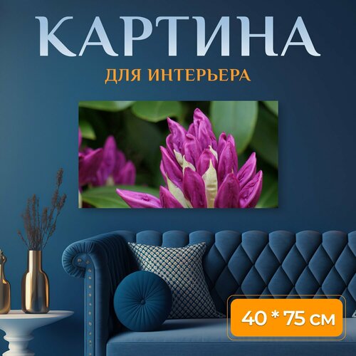 Картина на холсте "Рододендрон, цветы, листья" на подрамнике 75х40 см. для интерьера