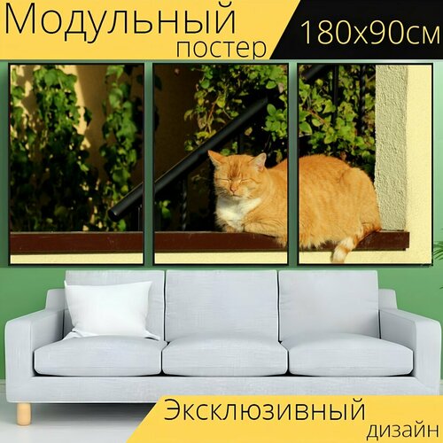 Модульный постер "Кошка, котенок, рыжий кот" 180 x 90 см. для интерьера