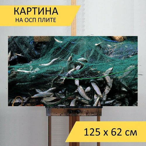 Картина на ОСП 125х62 см. "Природа, рыба, окружающая обстановка" горизонтальная, для интерьера, с креплениями